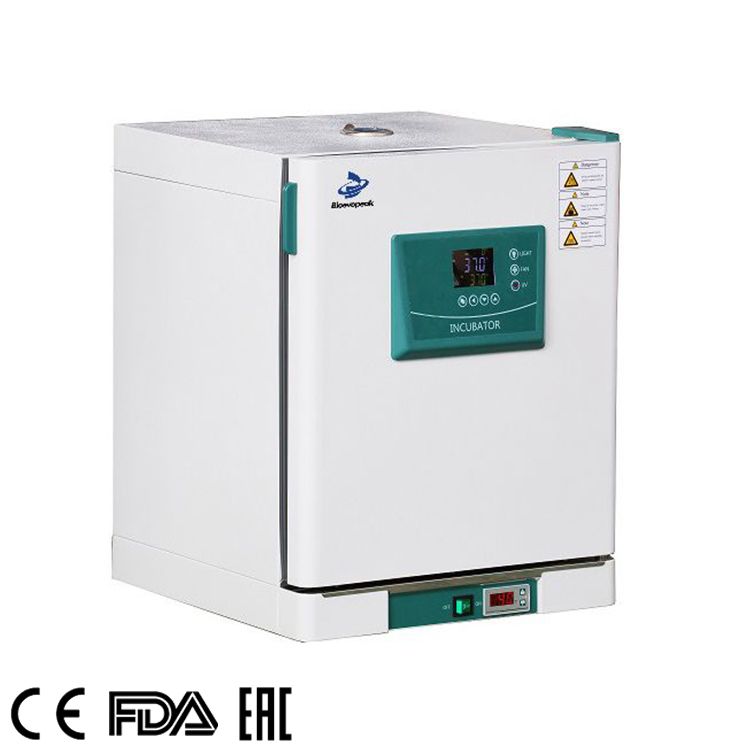 Constant Temperature Incubator, ICB-P Series – Bioevopeak