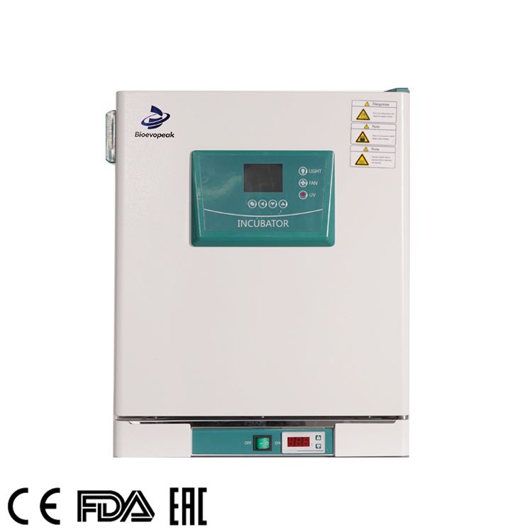 Constant Temperature Incubator, ICB-P Series – Bioevopeak