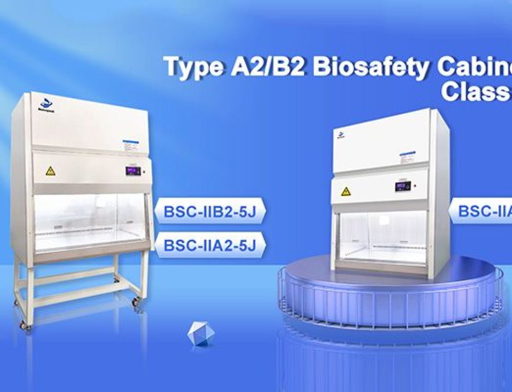 How does a muffle furnace work? - Bioevopeak