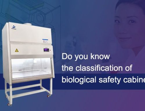 How does a muffle furnace work? - Bioevopeak
