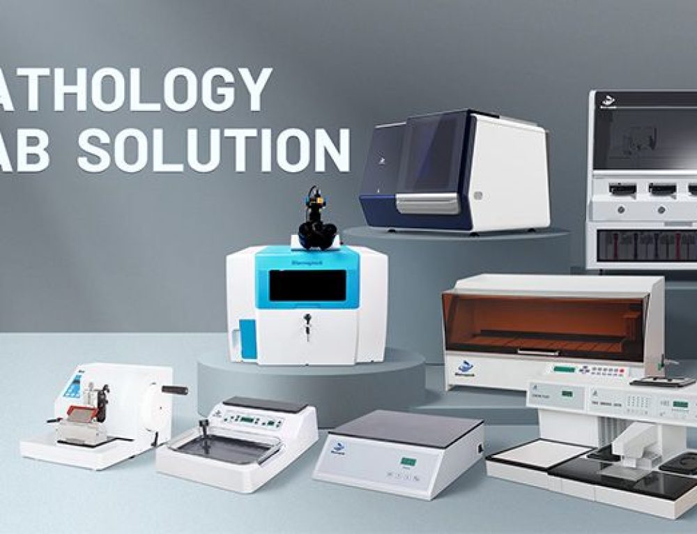 What Does Pharmaceutical Laboratory Equipment Include? - Bioevopeak